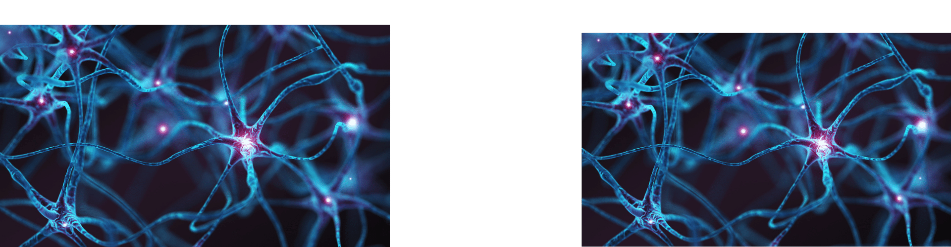 Endocrine Disruptors - The Acta Group